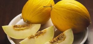 Sun Melon Benefits to Know - PlanMyMedical